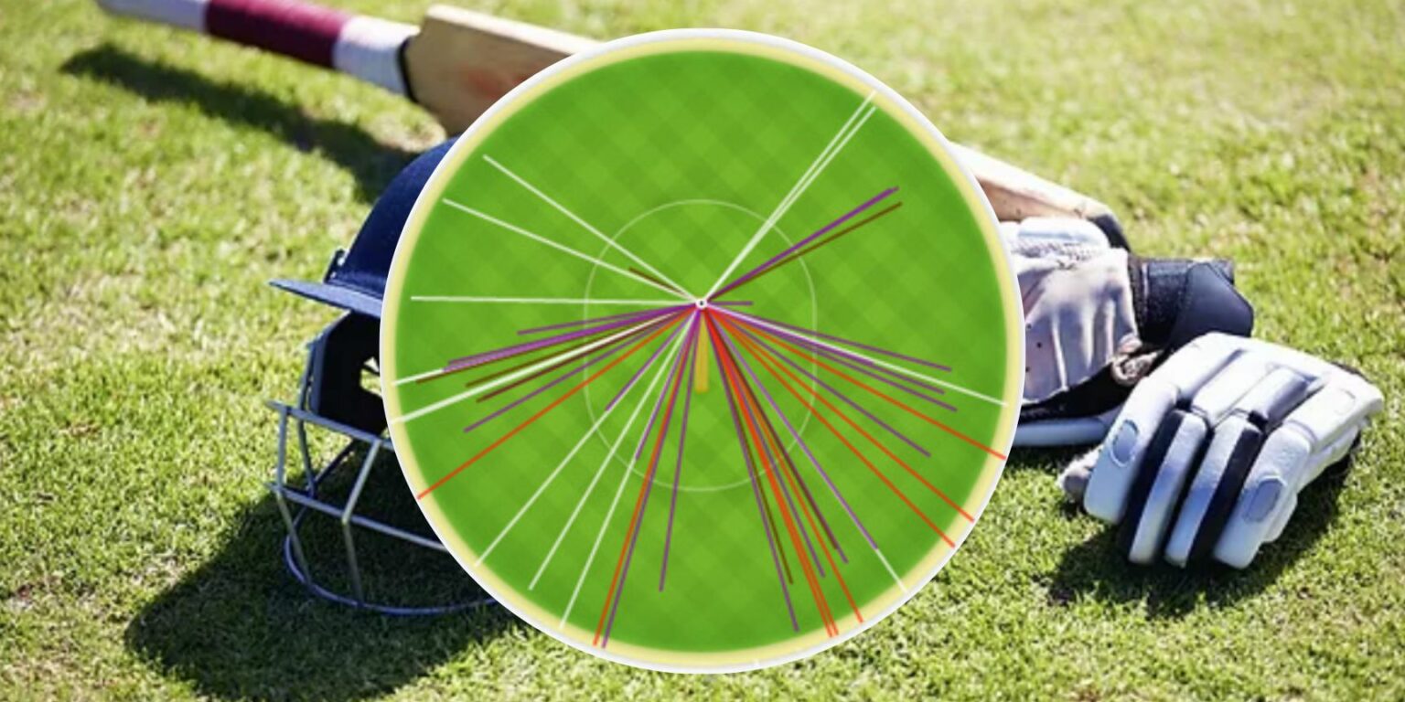 How to understand cricket stats - ANU Cricket Club